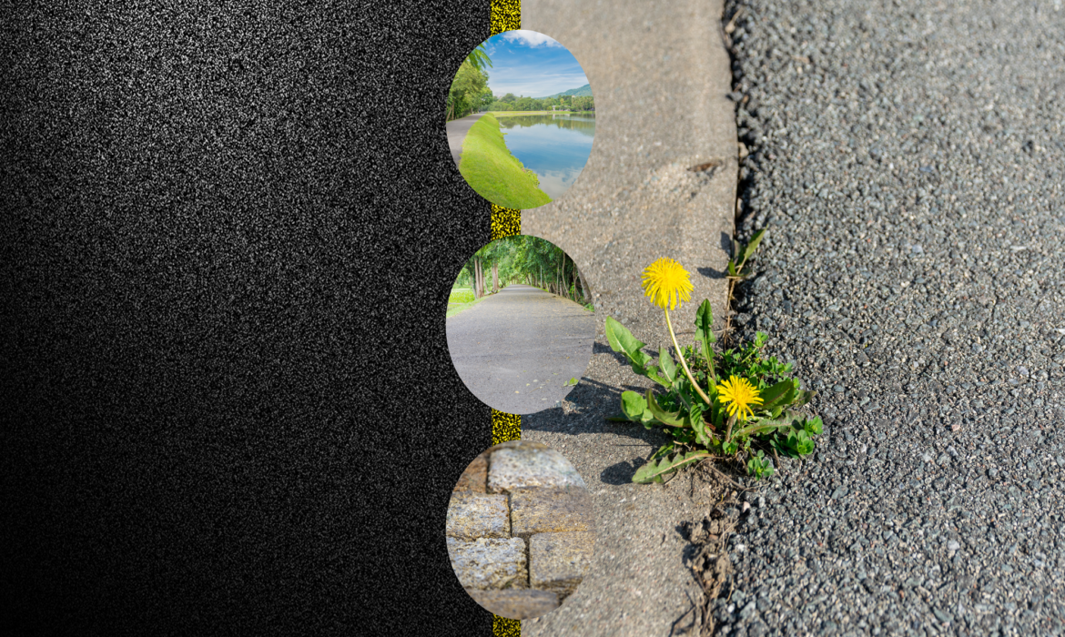 Understanding Porous Asphalt | Crossroads Paving CT