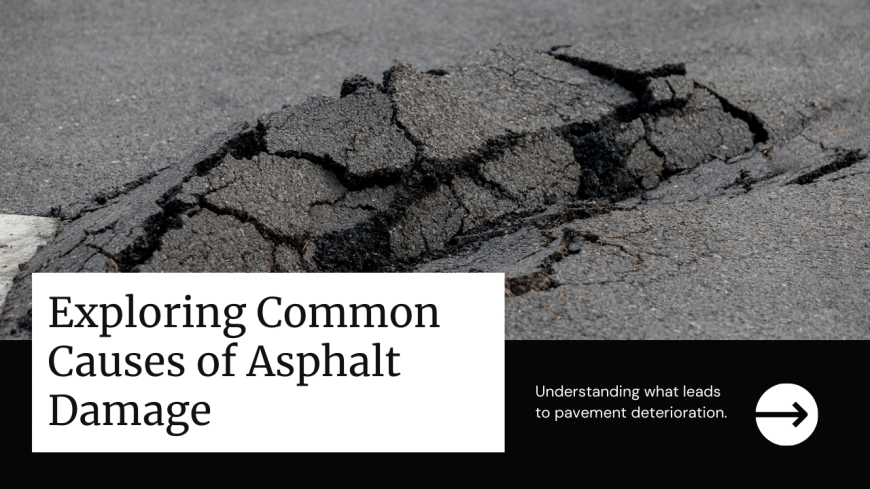 Asphalt Damage Types and Repairs | Crossroads Paving CT